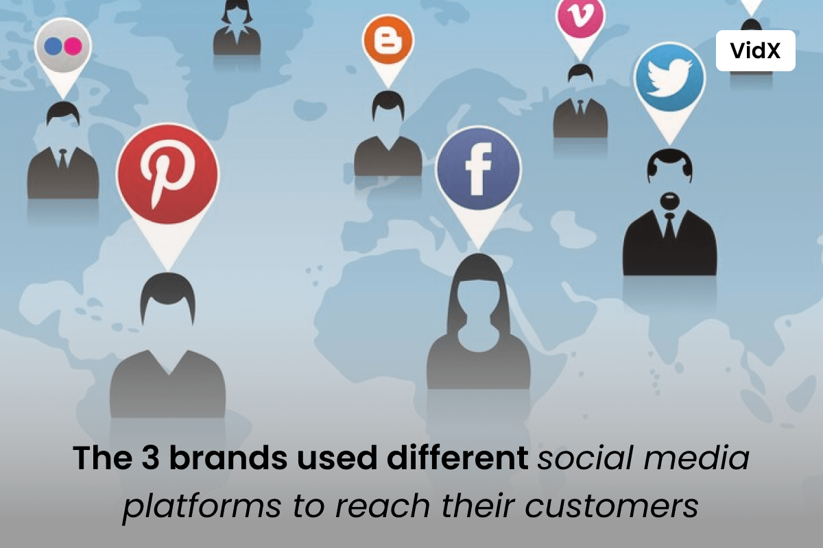 The 3 brands used different social media platforms to reach their ...